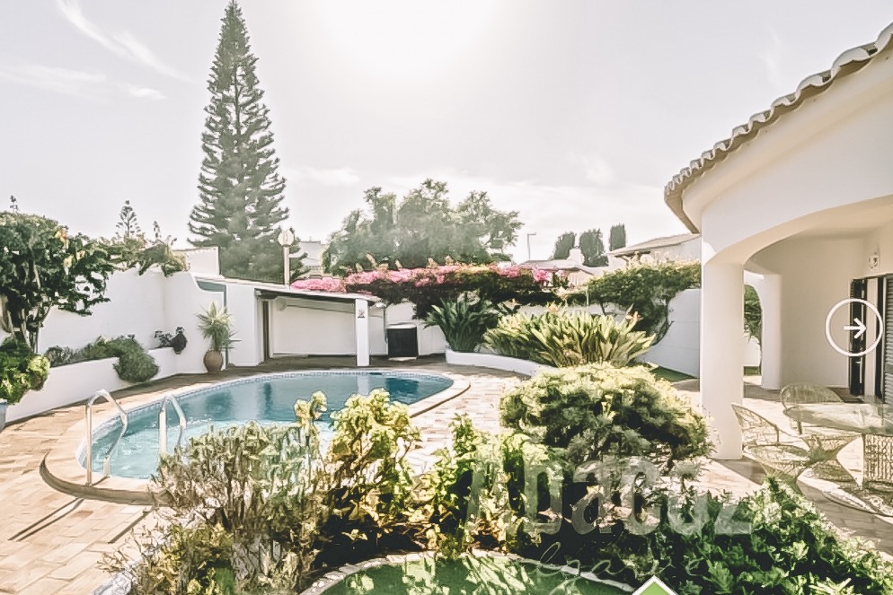 Vi har köpt ett citronträd!